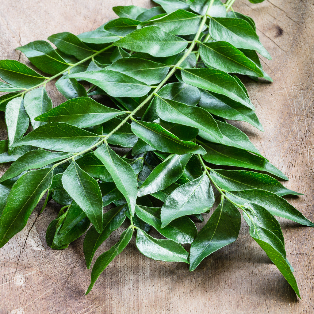 Curry leaves fresh store